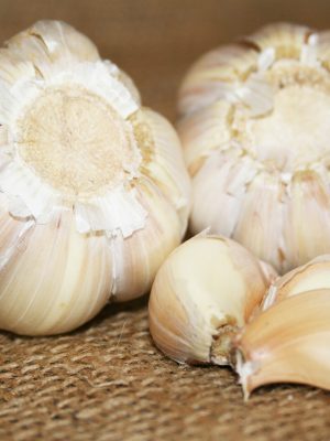 Spanish Roja Garlic - Irish Eyes