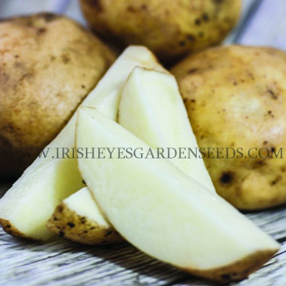 OG Irish Cobbler Potato - Irish Eyes