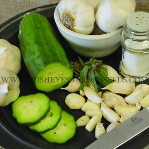 OG Italian Late Garlic - Irish Eyes