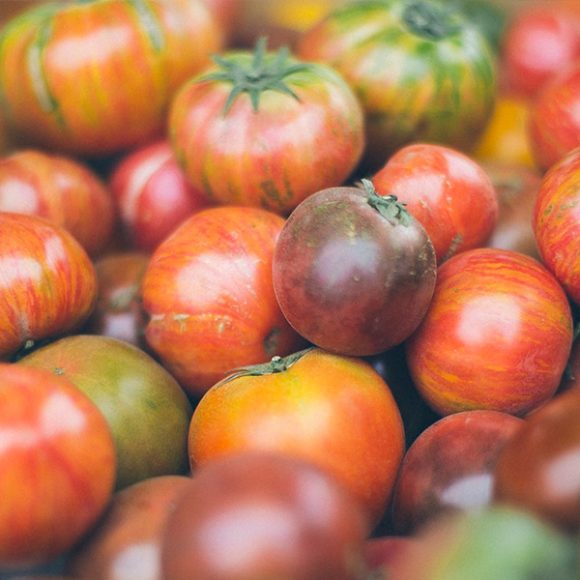 OG Heirloom Tomato Blend - Irish Eyes