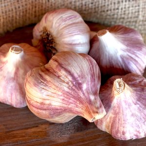 Seed Garlic - Page 2 of 2 - Irish Eyes