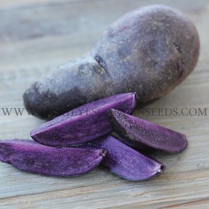 OG Magic Molly Pre-Nuclear Potato - Irish Eyes