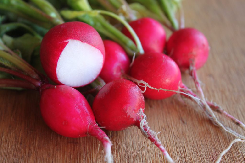 Crimson Giant Radish - Irish Eyes